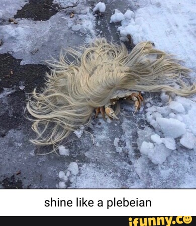 Plebeian memes. Best Collection of funny Plebeian pictures on iFunny