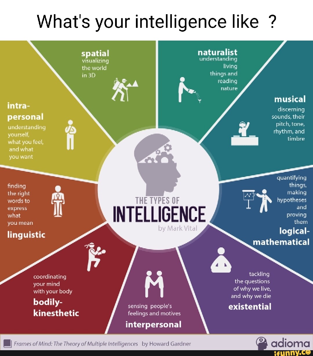 What's your intelligence like ? Spatial naturalist visualizing ...