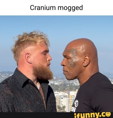 Cranium memes. Best Collection of funny Cranium pictures on iFunny