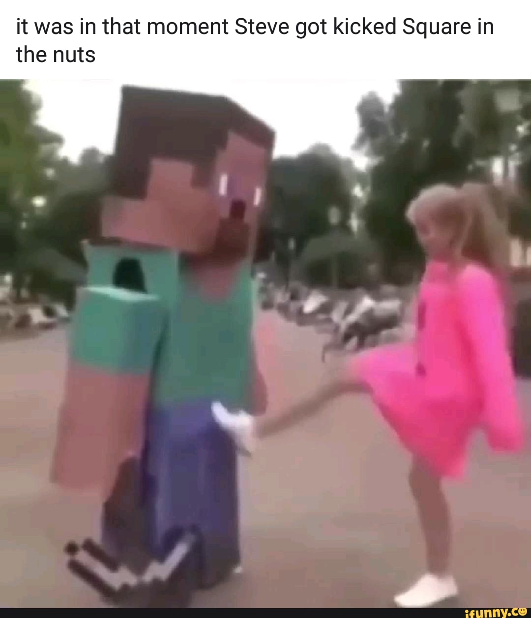It was in that moment Steve got kicked Square in the nuts - iFunny