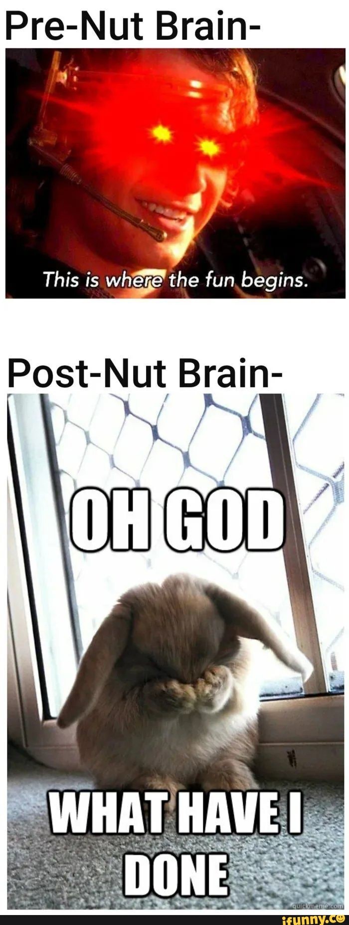 Pre-Nut Brain - iFunny