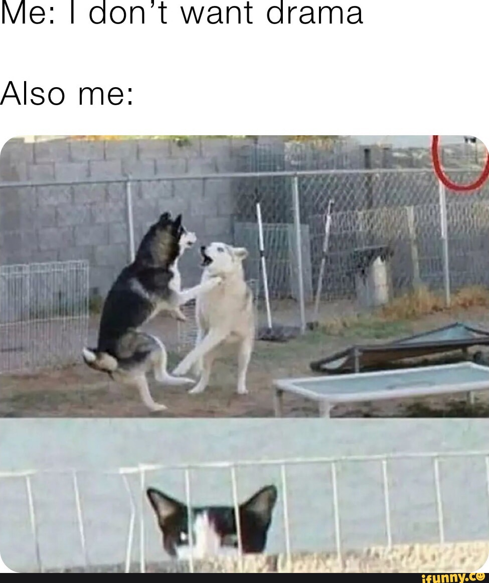 Don memes. Best Collection of funny Don pictures on iFunny