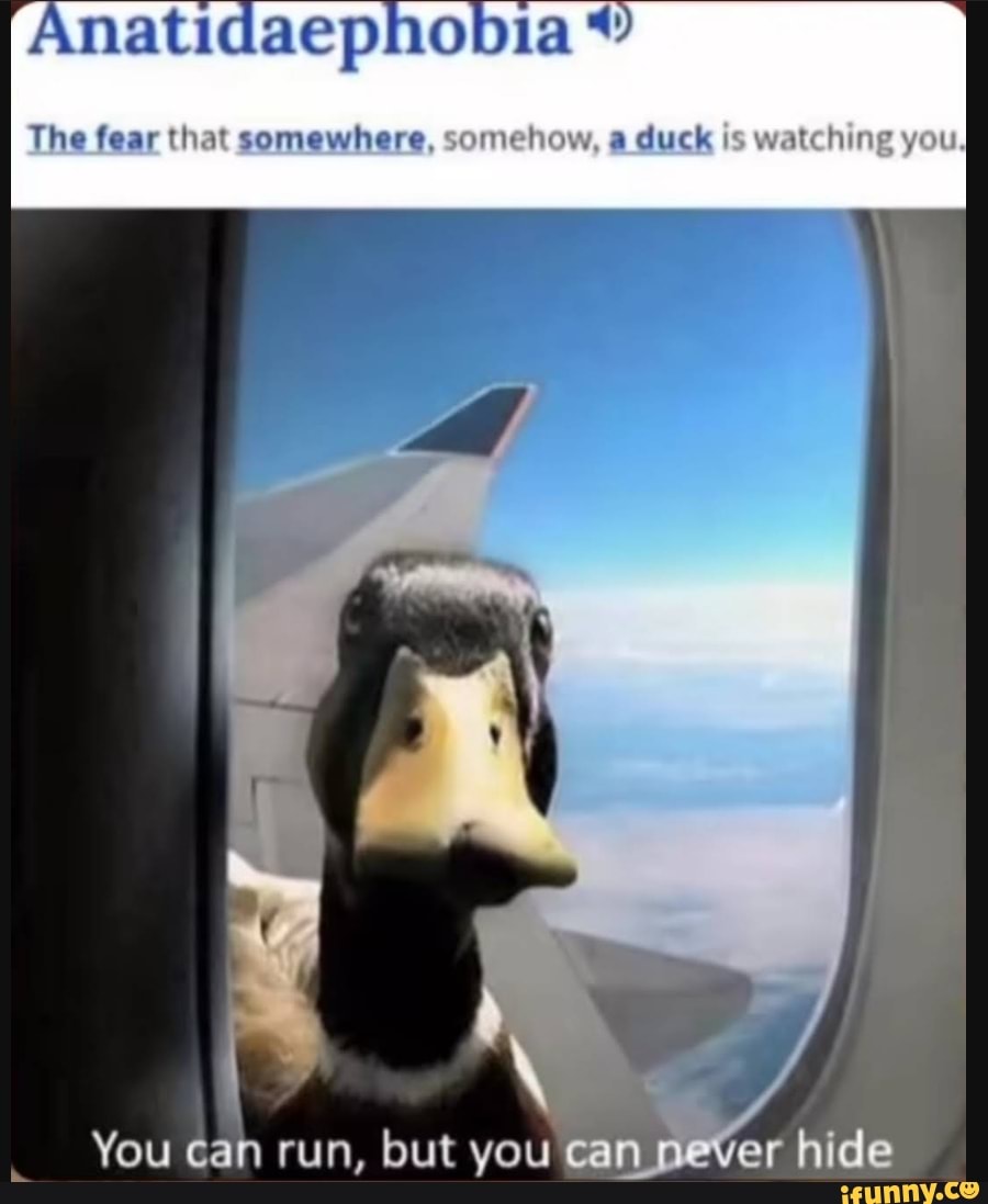 Anatidaephobia The fear that somewhere somehow, duck watching you, I ...