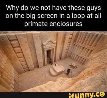 Enclosures memes. Best Collection of funny Enclosures pictures on iFunny