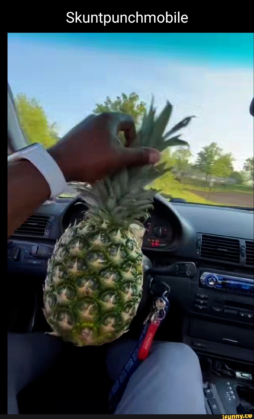 Picture memes YqesPiIyA by Speshul: 3 comments - iFunny