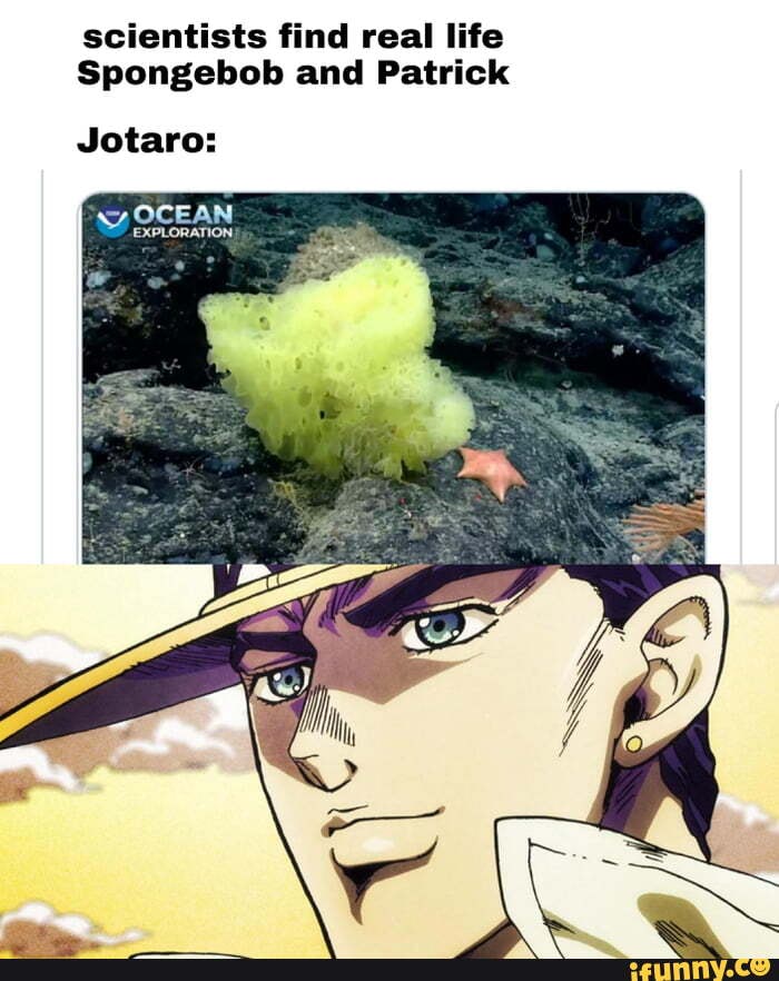 Scientists find real life Spongebob and Patrick Jotaro: OCEAN ...