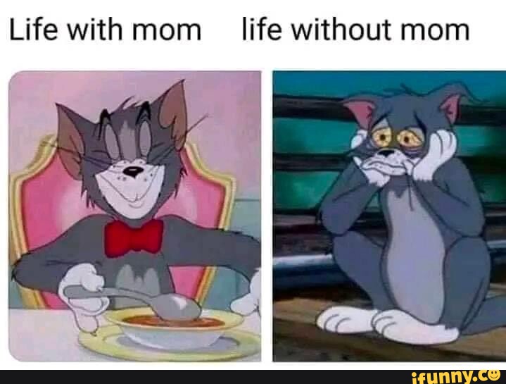 Life with mom life without mom - iFunny
