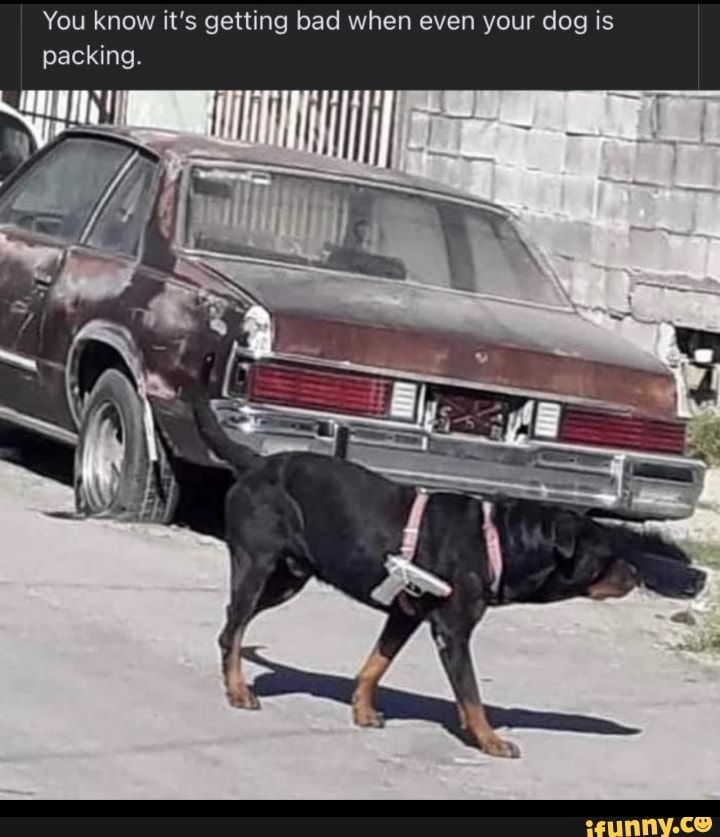 Fn57 memes. Best Collection of funny Fn57 pictures on iFunny