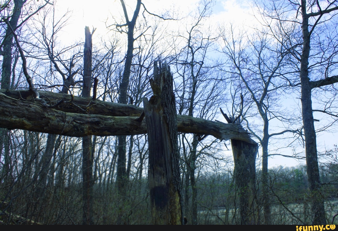 Phothraphy memes. Best Collection of funny Phothraphy pictures on iFunny