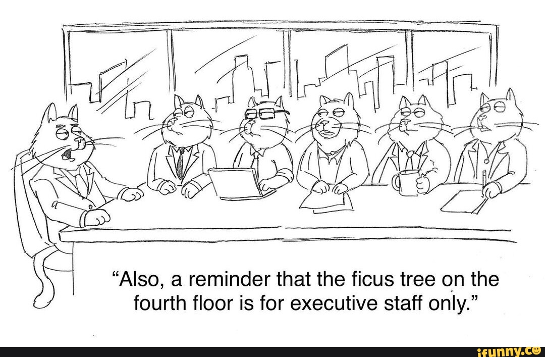 Ficus memes. Best Collection of funny Ficus pictures on iFunny