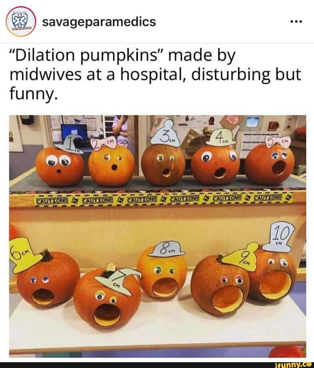 Midwives memes. Best Collection of funny Midwives pictures on iFunny