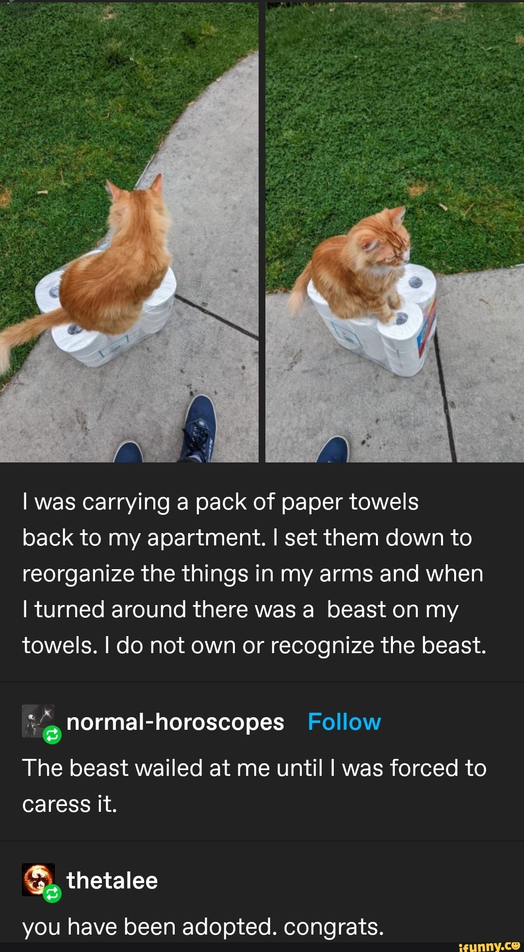 Reorgan memes. Best Collection of funny Reorgan pictures on iFunny