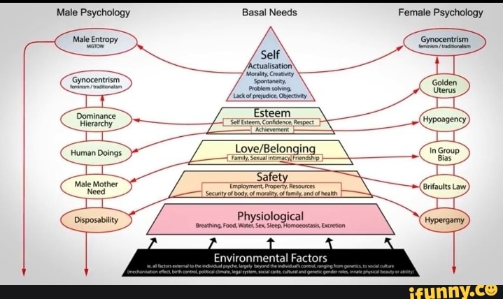 Gynocentrism memes. Best Collection of funny Gynocentrism pictures on ...