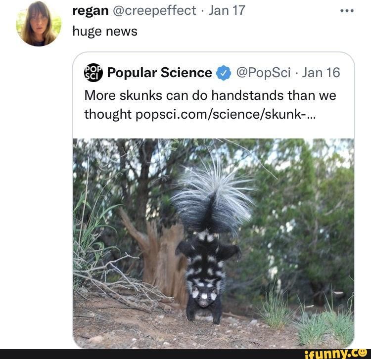 Handstands memes. Best Collection of funny Handstands pictures on iFunny