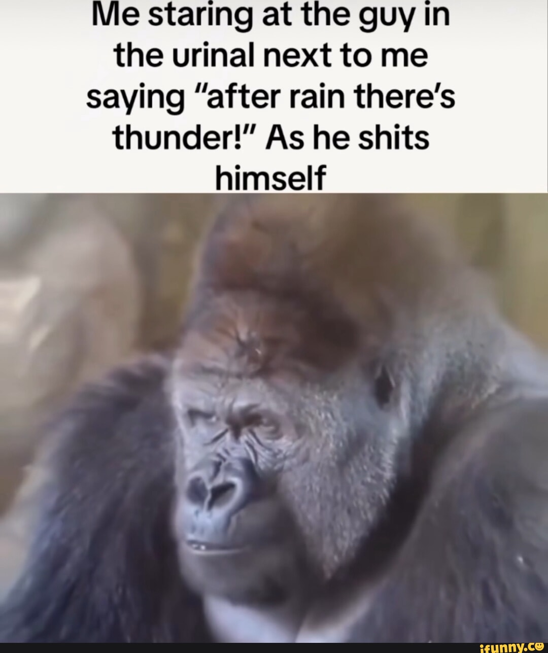 Urinal memes. Best Collection of funny Urinal pictures on iFunny