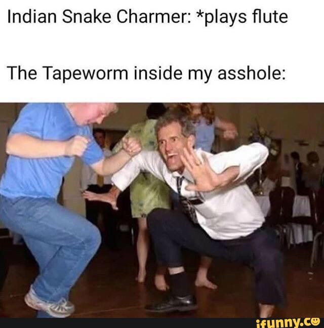 Indian Snake Charmer: *plays ﬂute The Tapeworm inside my asshole: - iFunny