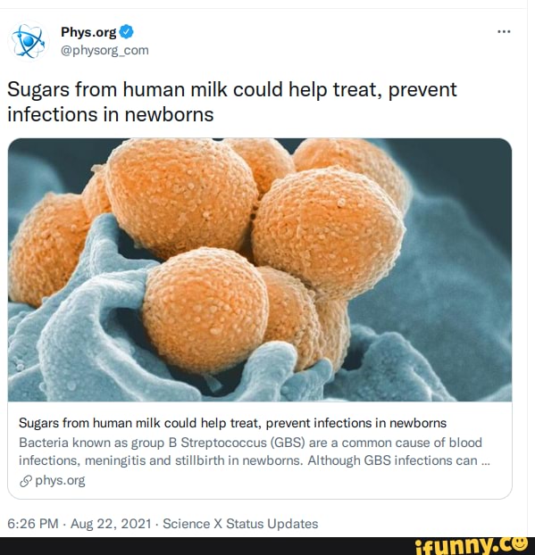 Streptococcus memes. Best Collection of funny Streptococcus pictures on ...
