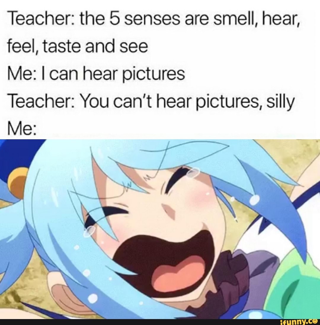 Teacher: the 5 senses are smell, hear, feel, taste and see Me: I can ...