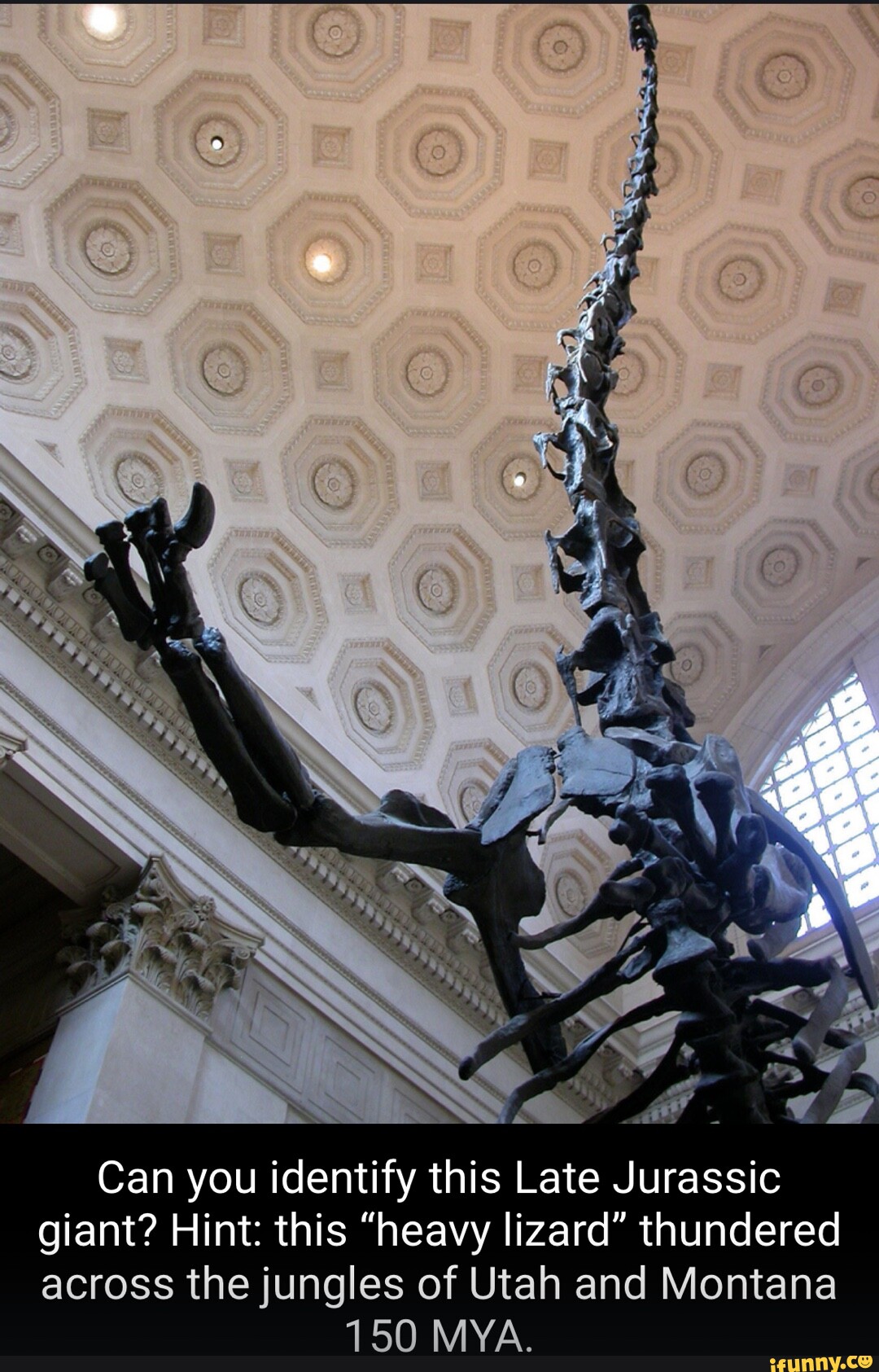Can you identify this Late Jurassic giant? Hint: this "heavy lizard ...