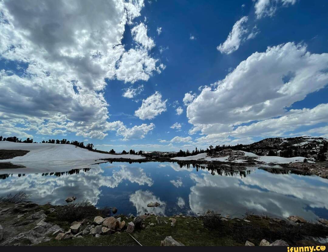 Beartooth memes memes. The best memes on iFunny