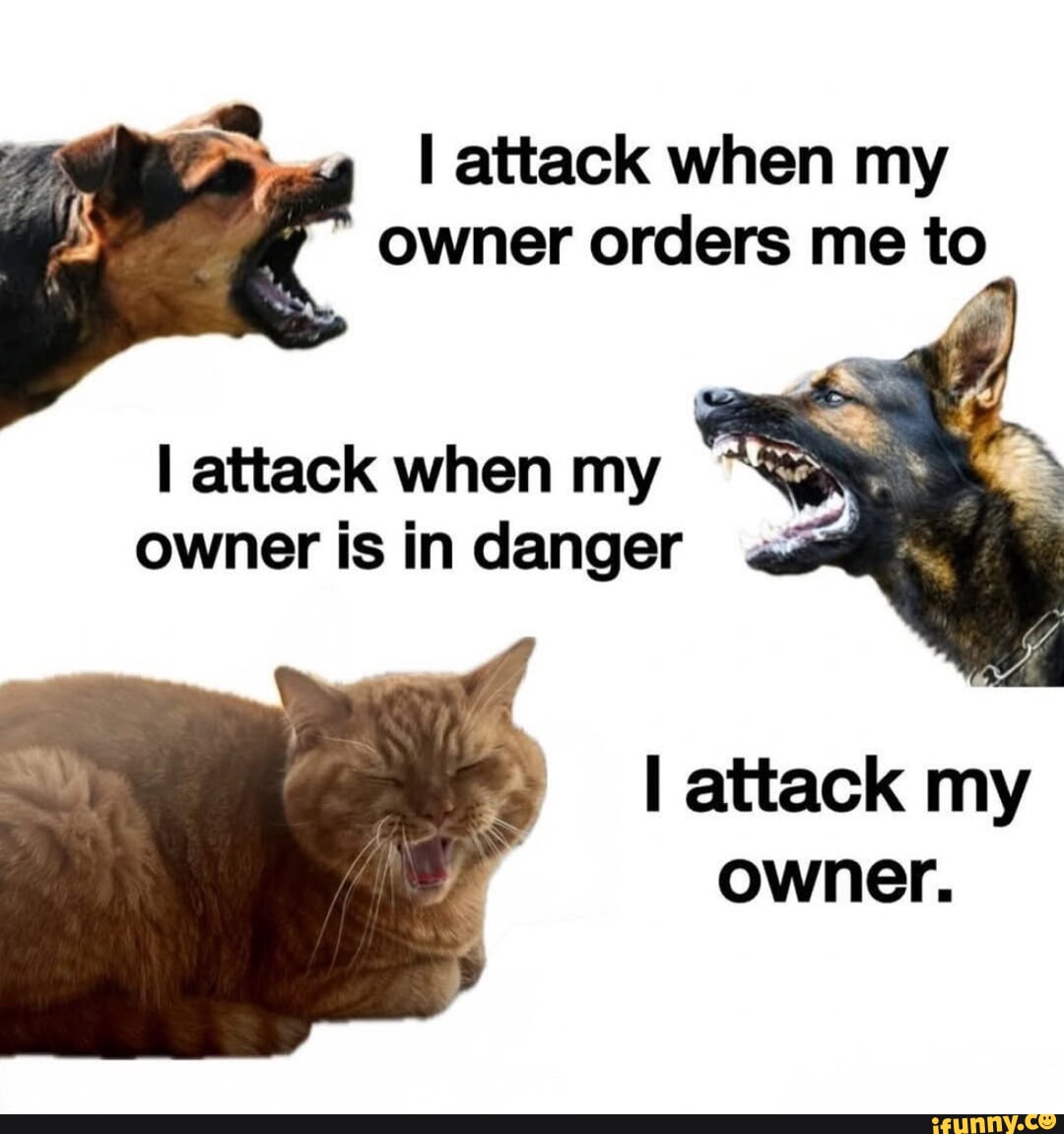 I attack when my owner orders me to I attack when my owner is in danger I attack my owner. - iFunny