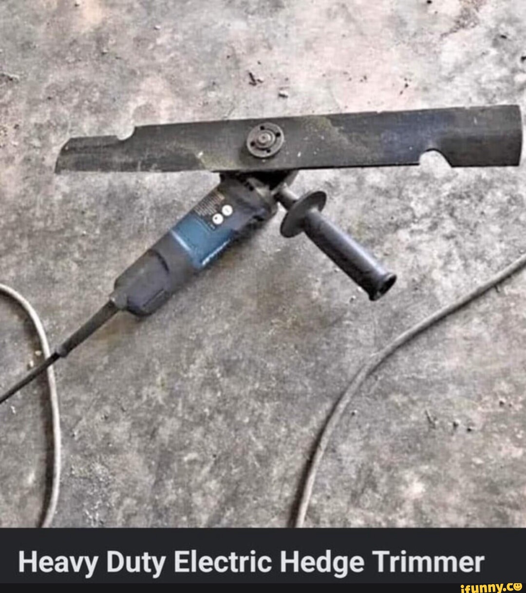 Trimmer memes. Best Collection of funny Trimmer pictures on iFunny