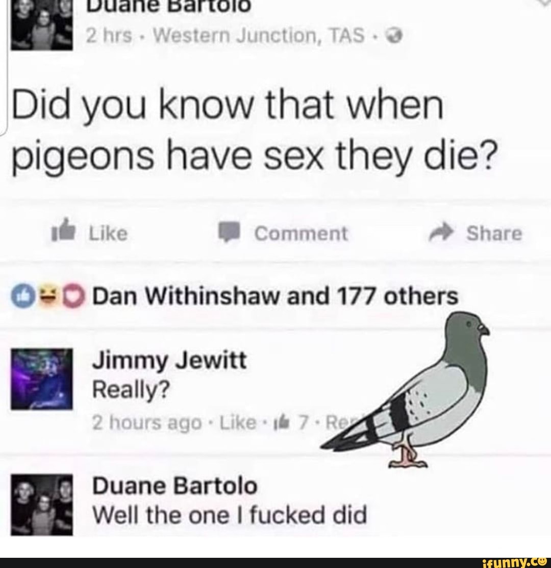Did you know that when pigeons have sex they die? Like Comment Share DD ...