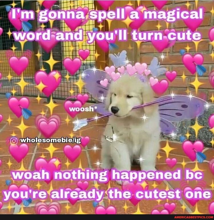 Gonna spell a magical word and you'll turn cute woah nothing happened ...