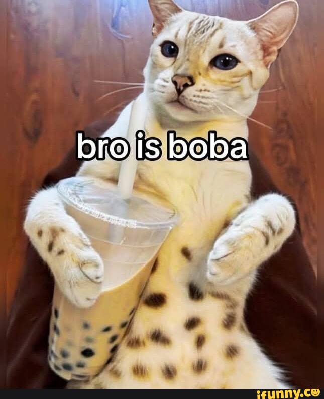 Boba memes. Best Collection of funny Boba pictures on iFunny