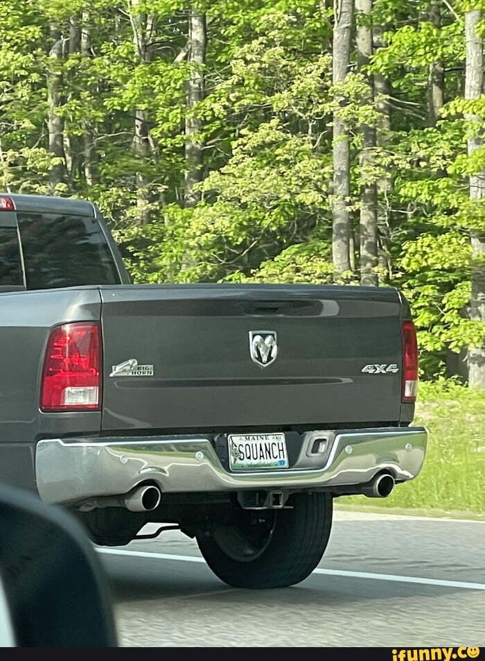 Squanch memes. Best Collection of funny Squanch pictures on iFunny