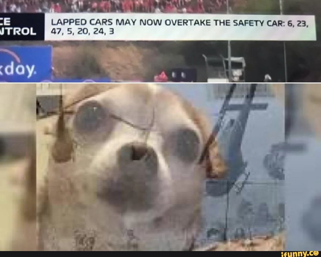 LAPPED CARS MAY NOW OVERTAKE THE SAFETY CAR: 6, 23, - iFunny