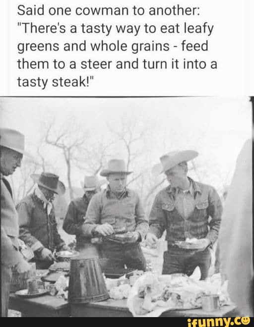 Cowman memes. Best Collection of funny Cowman pictures on iFunny