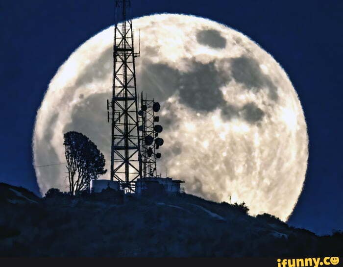 Verdugo memes. Best Collection of funny Verdugo pictures on iFunny