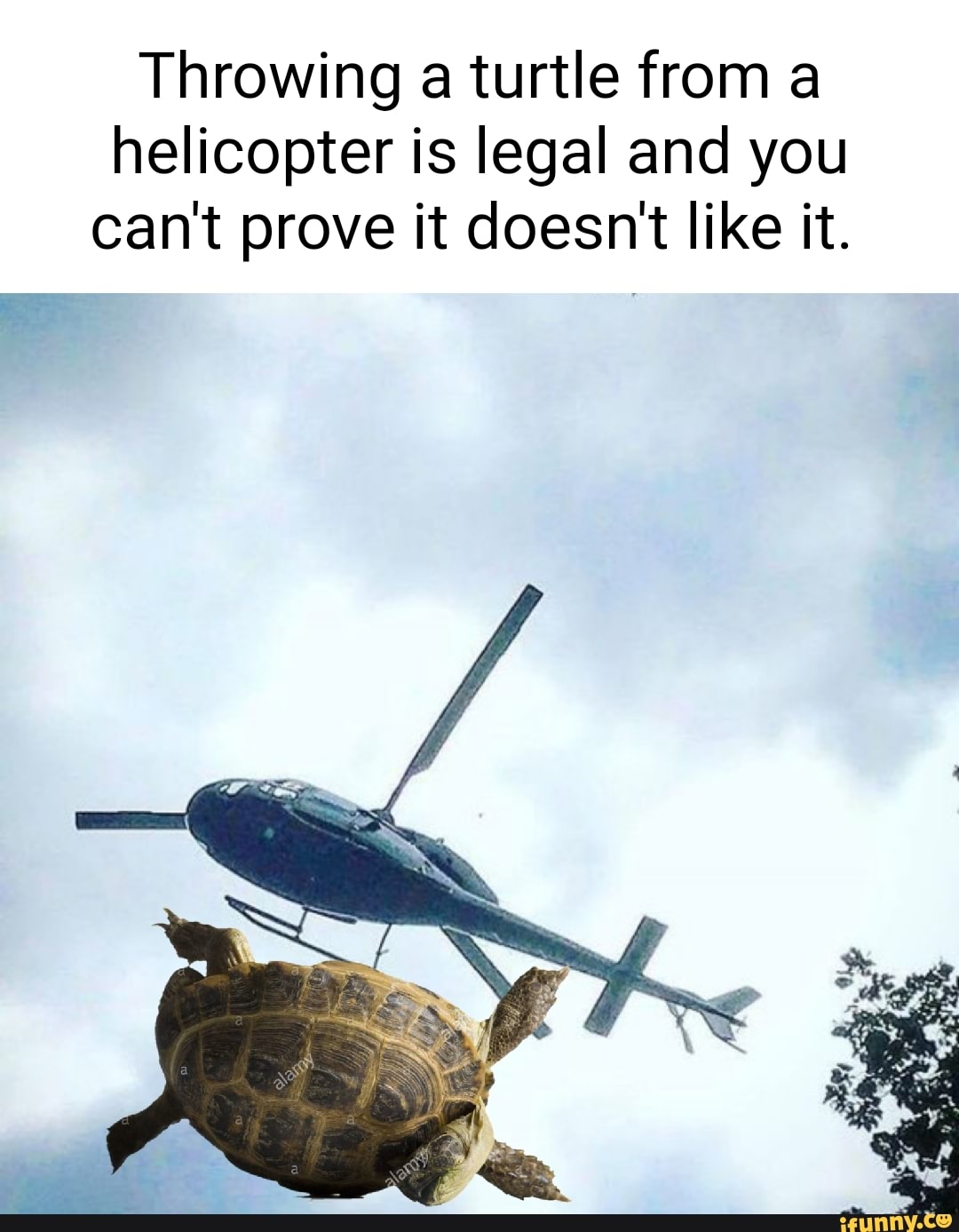 Throwing a turtle from a helicopter is legal and you cant prove it ...