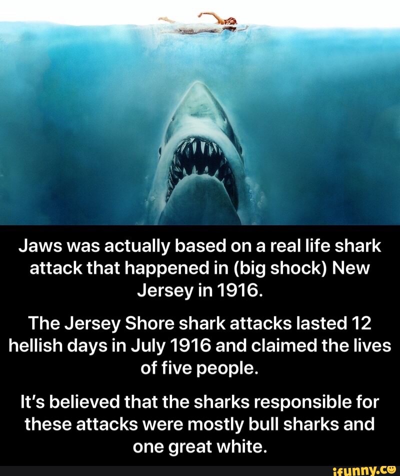 Sharks Attacking People In Real Life