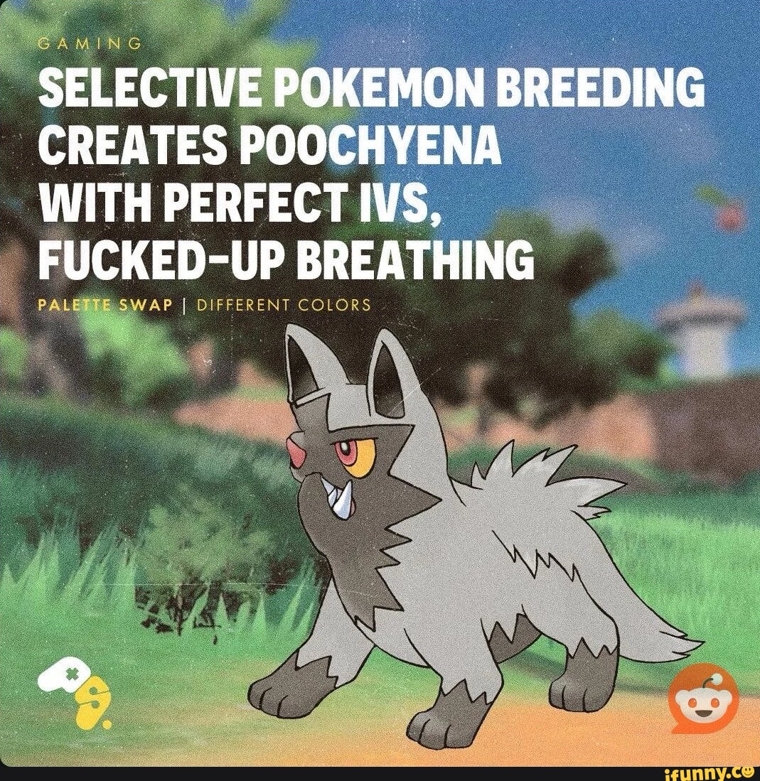 SELECTIVE POKEMON BREEDING CREATES POOCH WITH PERFECT IVS, FUCKED-UP ...