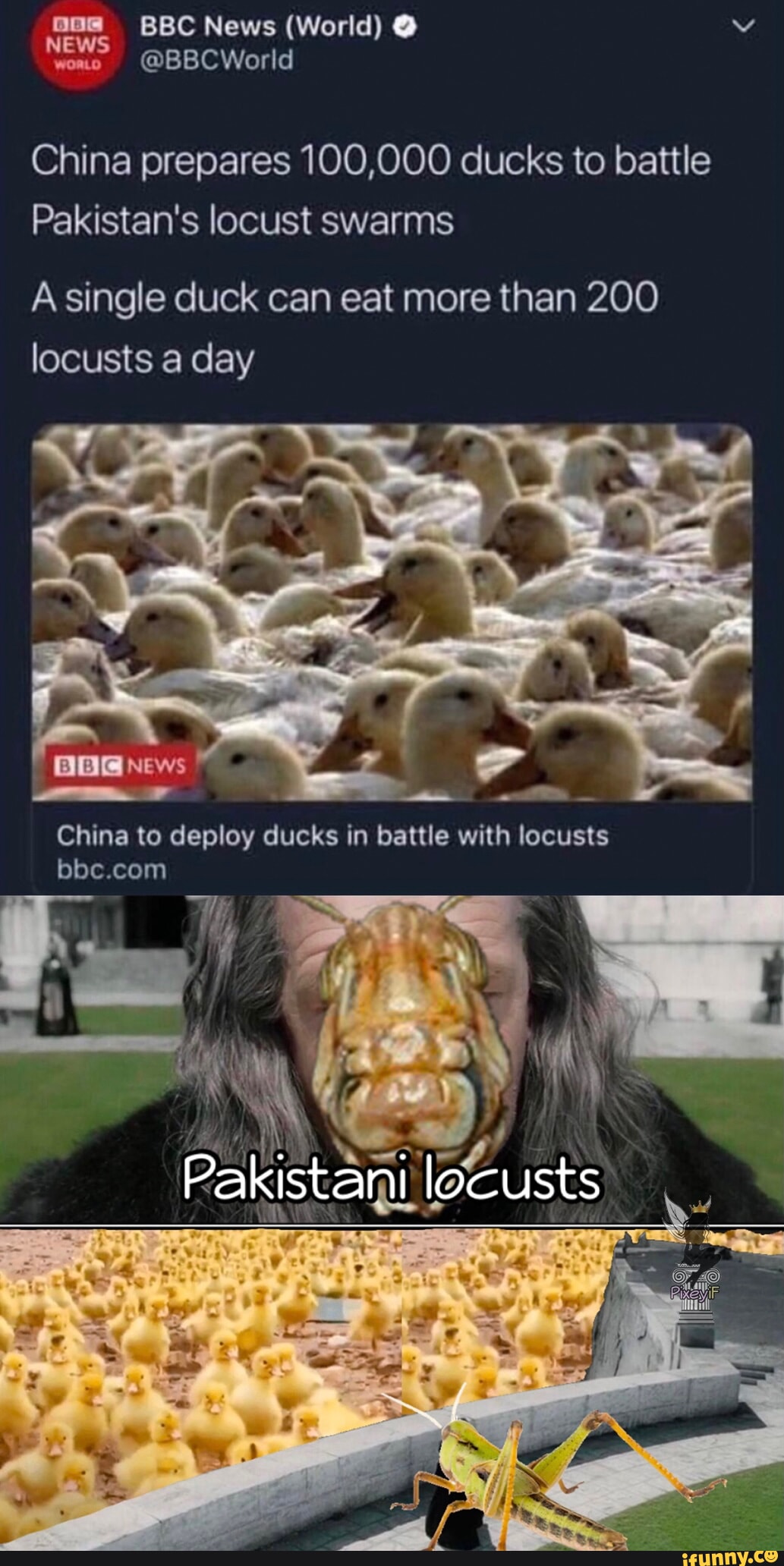 Locusts memes. Best Collection of funny Locusts pictures on iFunny