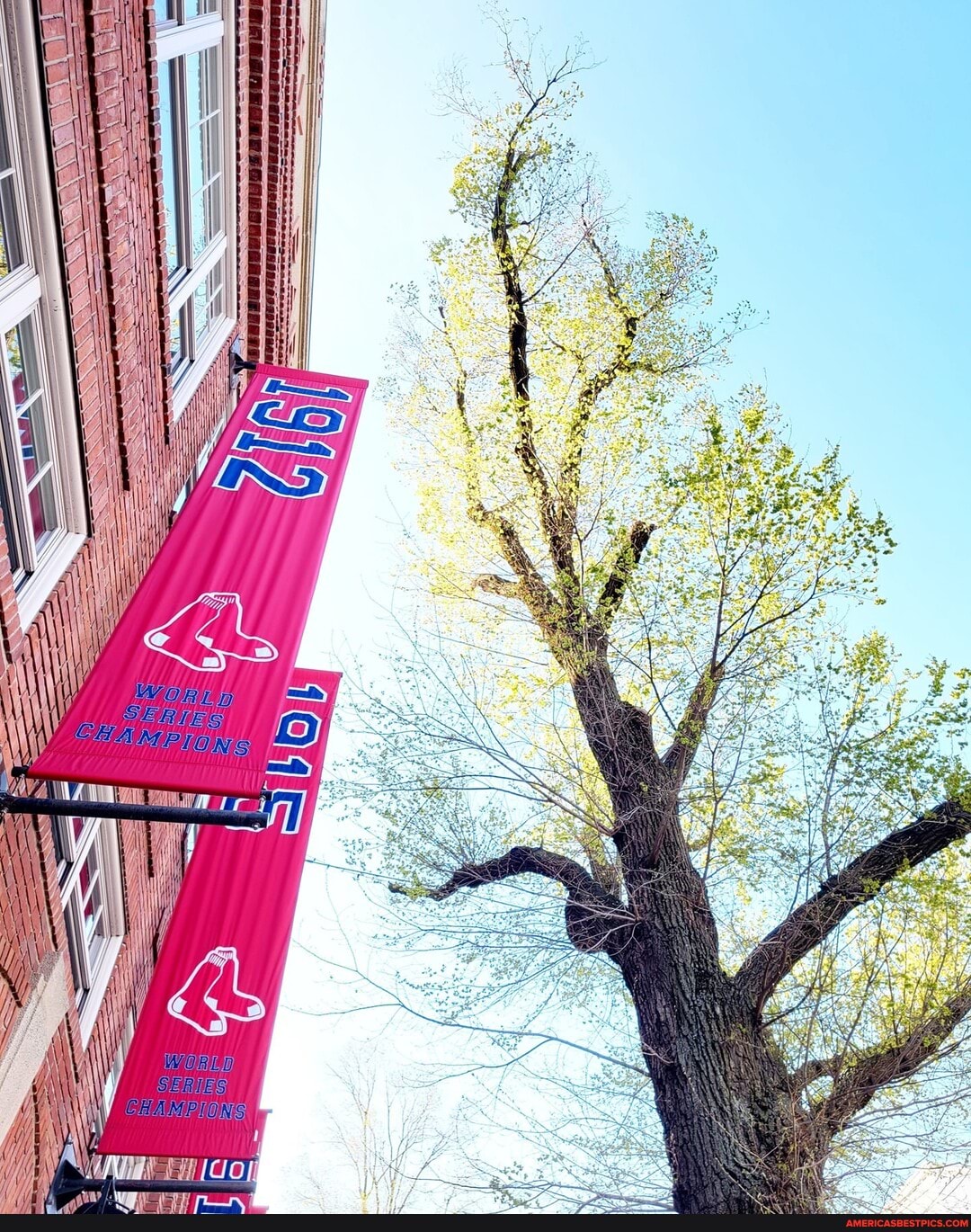 LONS WORLD SERIES SET - America’s best pics and videos