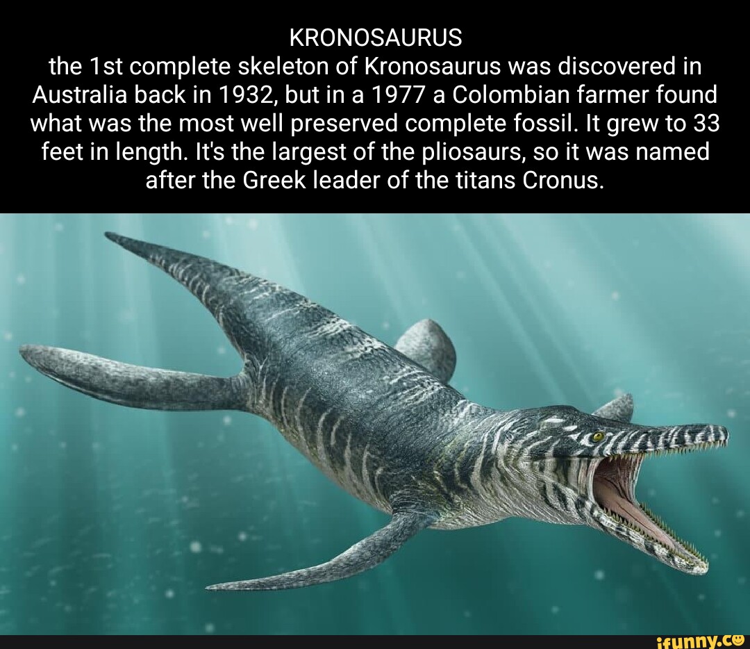 KRONOSAURUS the complete skeleton of Kronosaurus was discovered in ...