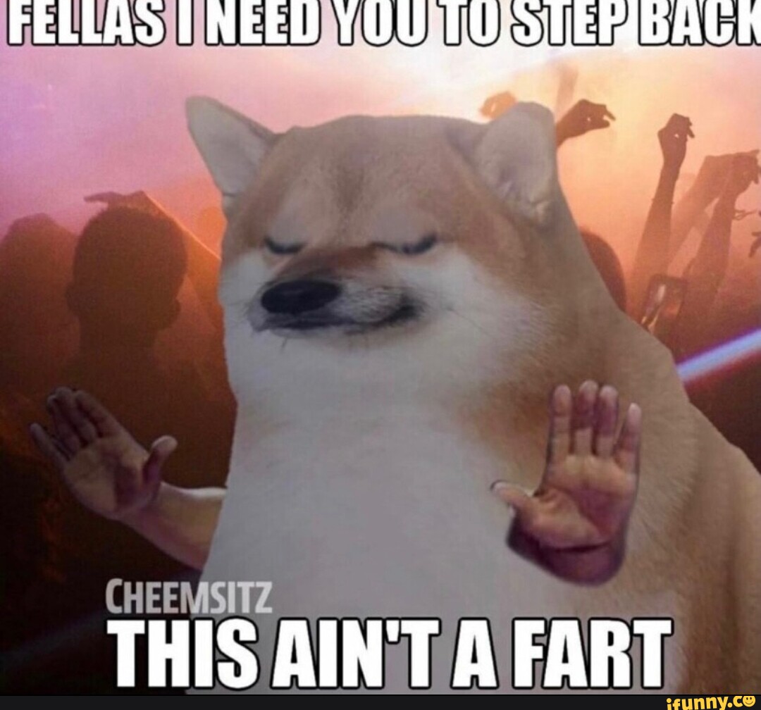 FELLAS I NEED CHEEMSITZ THIS AIN'T A FART - iFunny