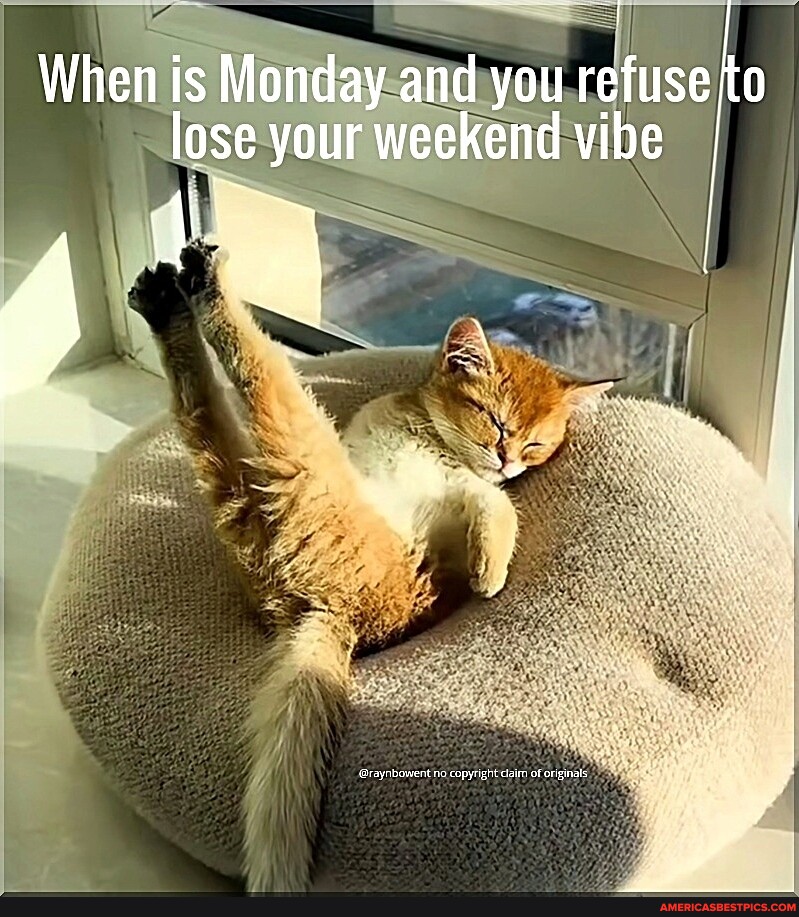 When is Monday and you refuse jto lose your weekend vibe Qraynbowent no ...