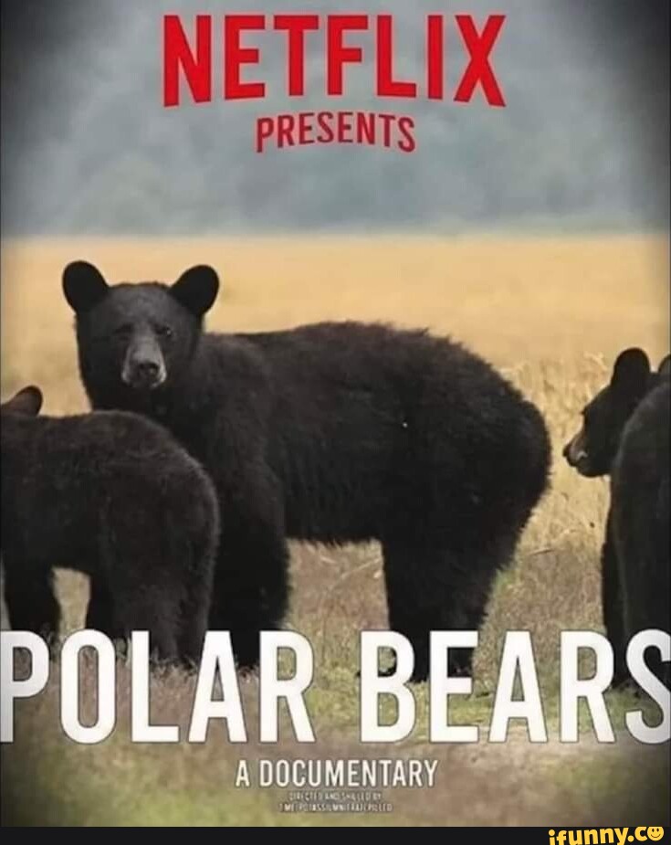 NETFLIX PRESENTS BEAR - iFunny