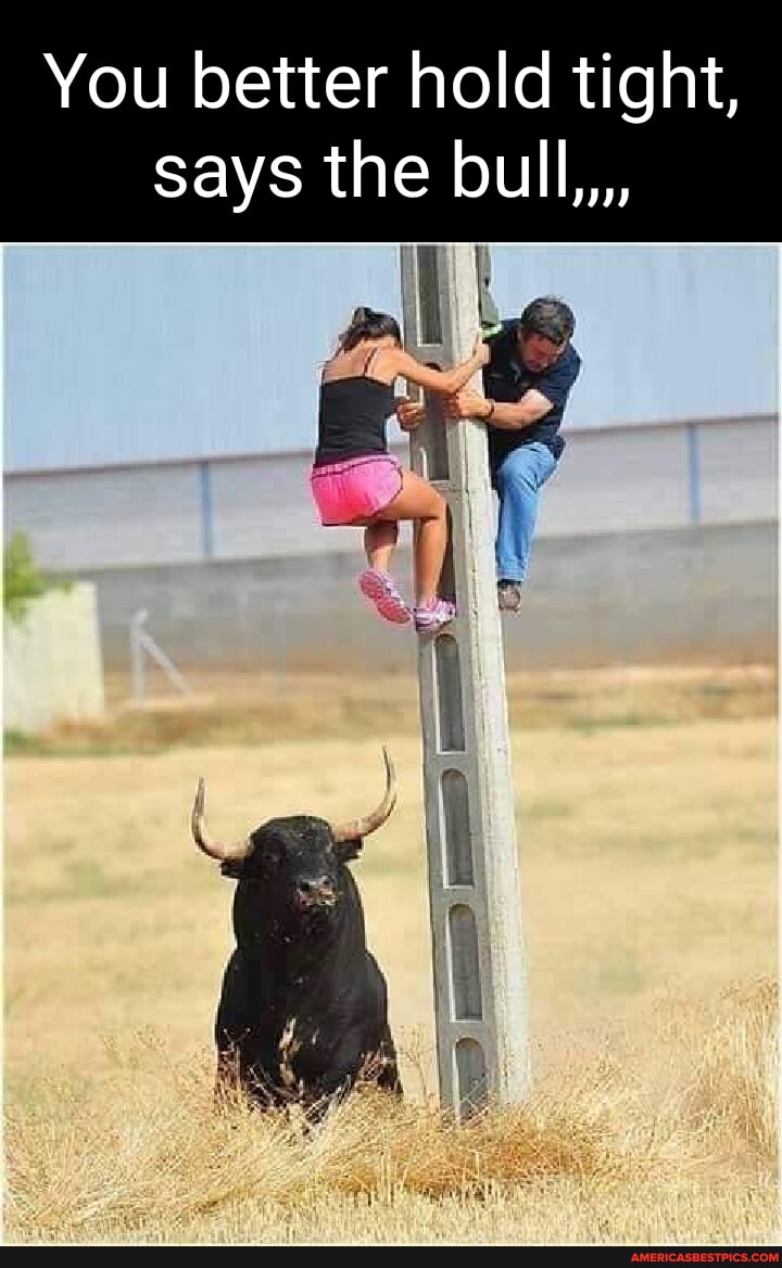 You better hold tight, says the bull,,,, - America’s best pics and videos