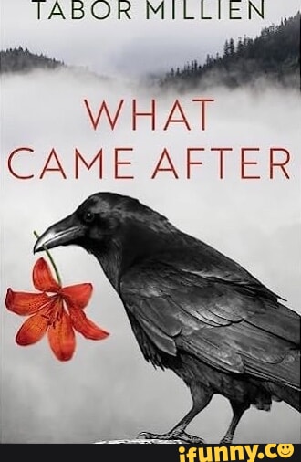 Tabor memes. Best Collection of funny Tabor pictures on iFunny