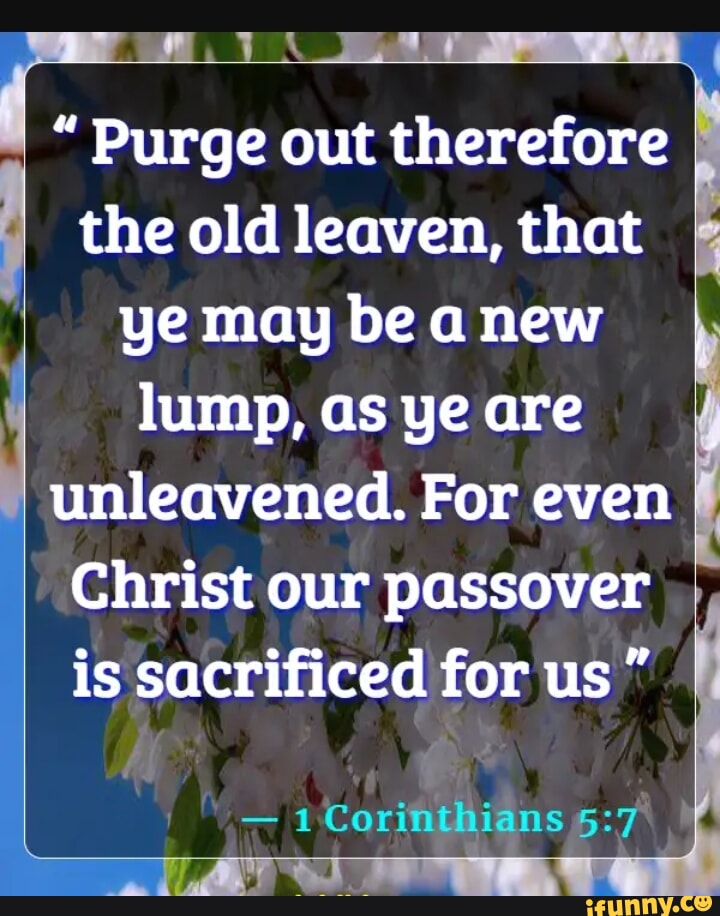 Passover memes. Best Collection of funny Passover pictures on iFunny