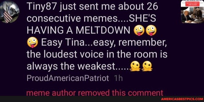 Tiny87 just sent me about 26 consecutive memes....SHE'S HAVING A ...