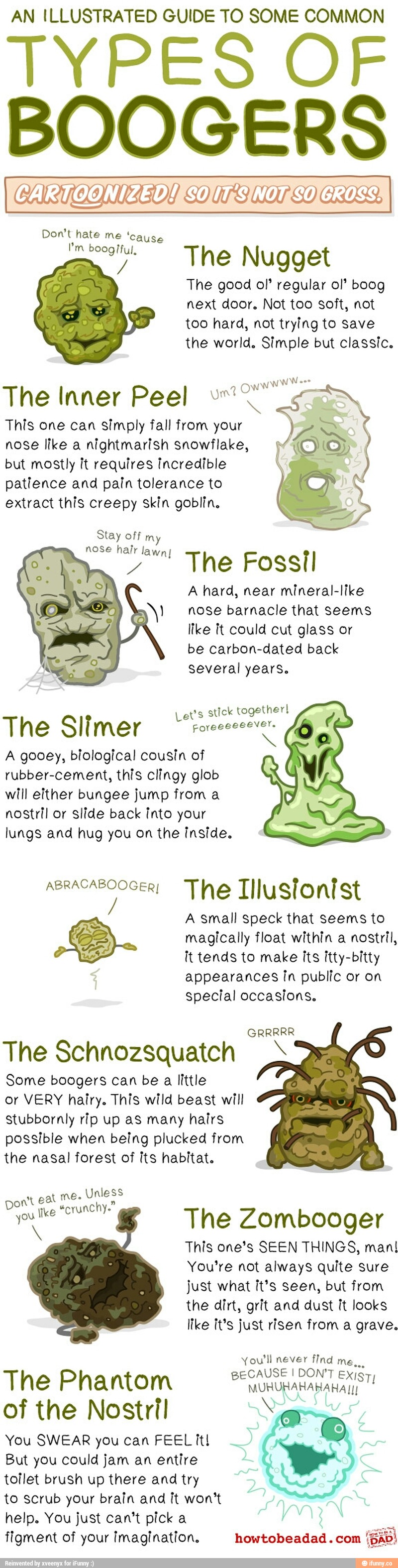 AN ILLUSTRATED GUIDE TO SOME COMMON TYPES OF BOOGERS Don‘t hate me ...