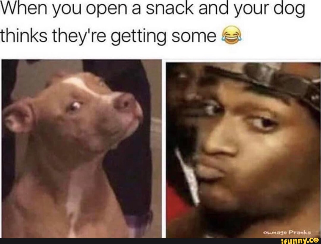 Ownage Memes
