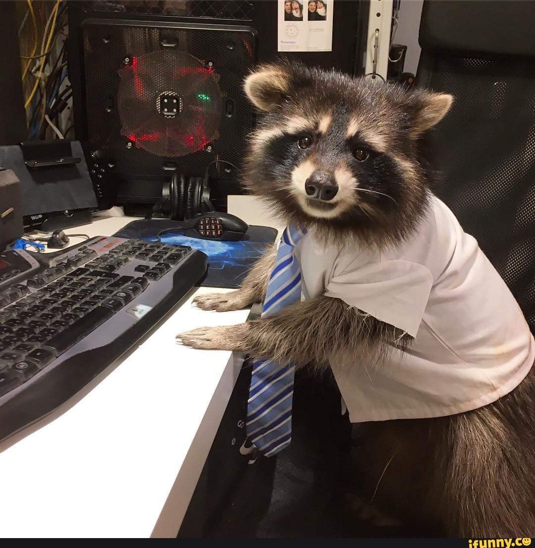 Annoying_customers memes. Best Collection of funny Annoying_customers ...