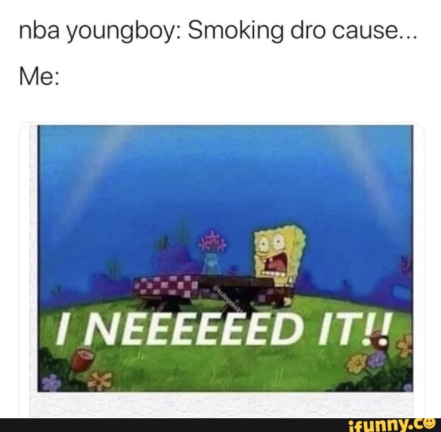 Nba youngboy: Smoking dro cause... Me: ED IT!! - iFunny